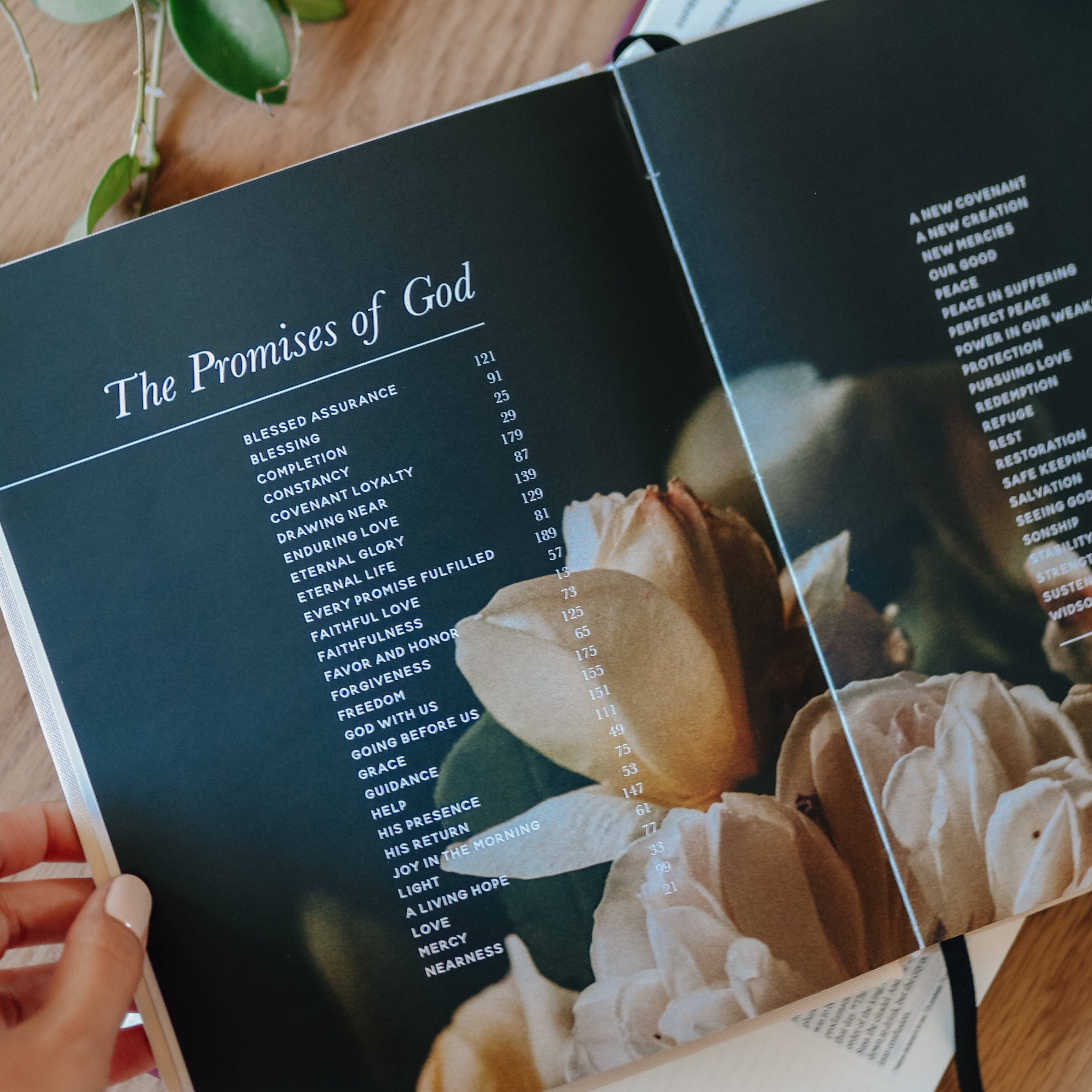 The Promises of God | Coffee Table Book – Dwell Here